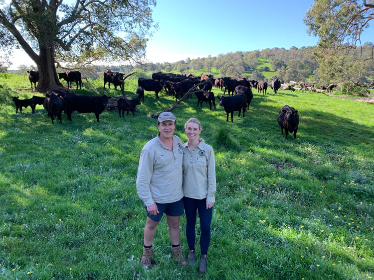 Premium Black Angus Beef from Harvey region WA – My Store